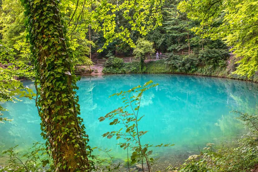 Dwalen langs de Donau en door het Zwarte Woud