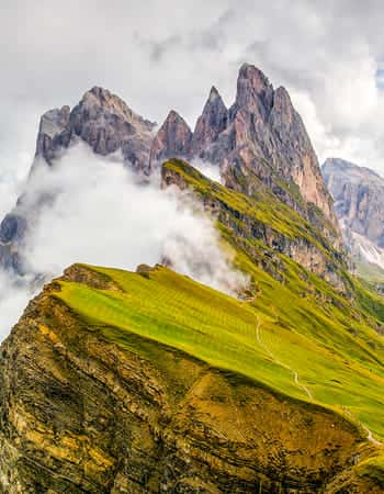 Gems: Beste plekken om dit dier te zien - Droomplekken.nl