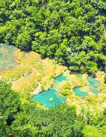 Tikal in Guatemala: Alle bezienswaardigheden voor je bezoek ...