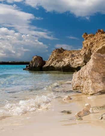 Doejong of Indische zeekoe - Beste plekken om deze dieren te zien