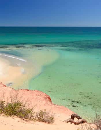 Doejong of Indische zeekoe - Beste plekken om deze dieren te zien