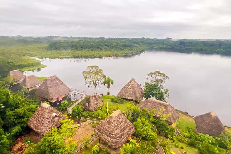 Yasuni National Park in Ecuador: 5 Tips - Droomplekken.nl
