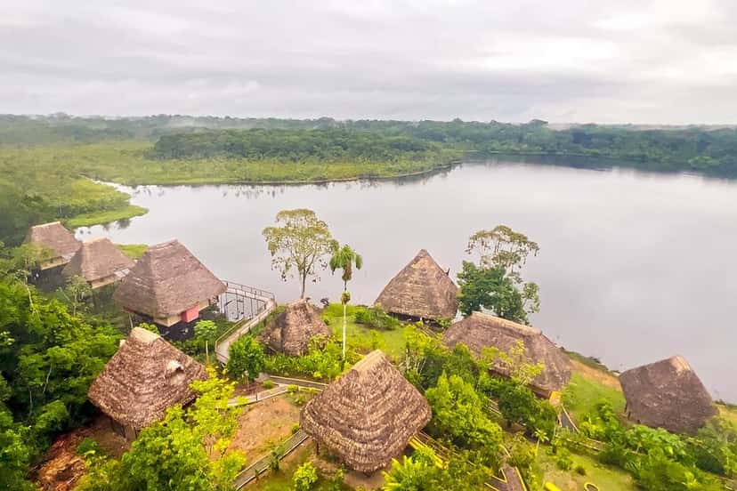 Yasuni National Park in Ecuador: 5 Tips - Droomplekken.nl