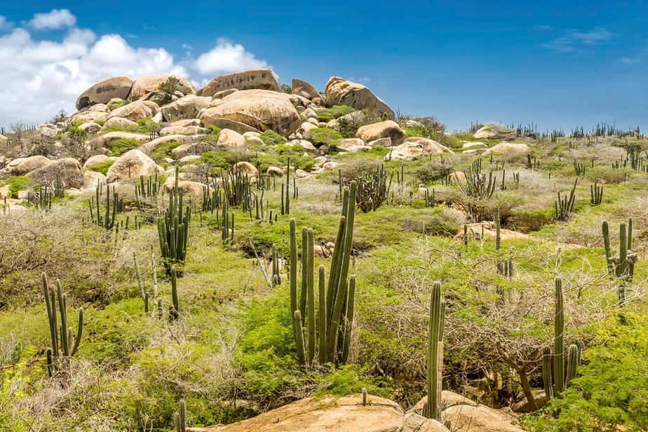 Arikok National Park op Aruba: 5 Tips!