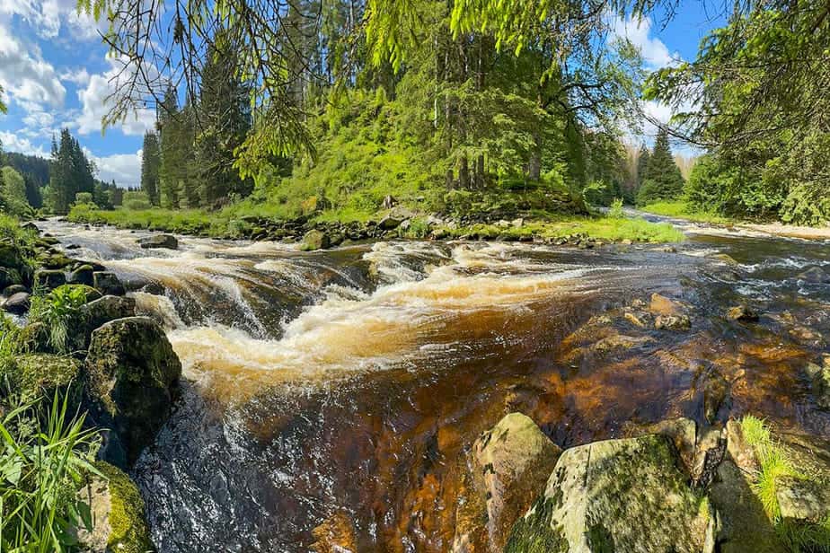 Boheemse Woud: 10 Tips voor het oerbos in Tsjechië