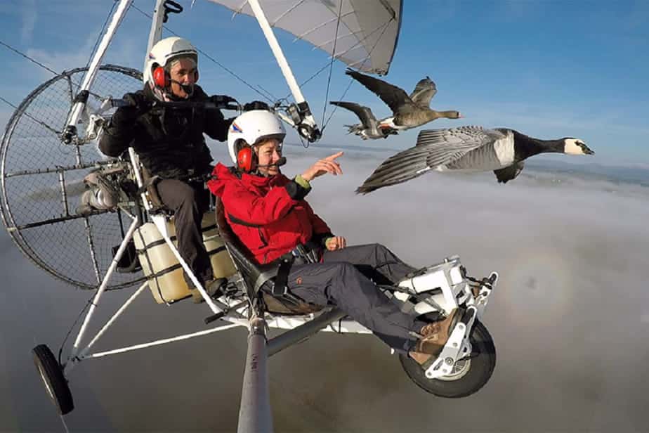 Vlieg met vogels in Ultra Light Vliegtuig of luchtballon