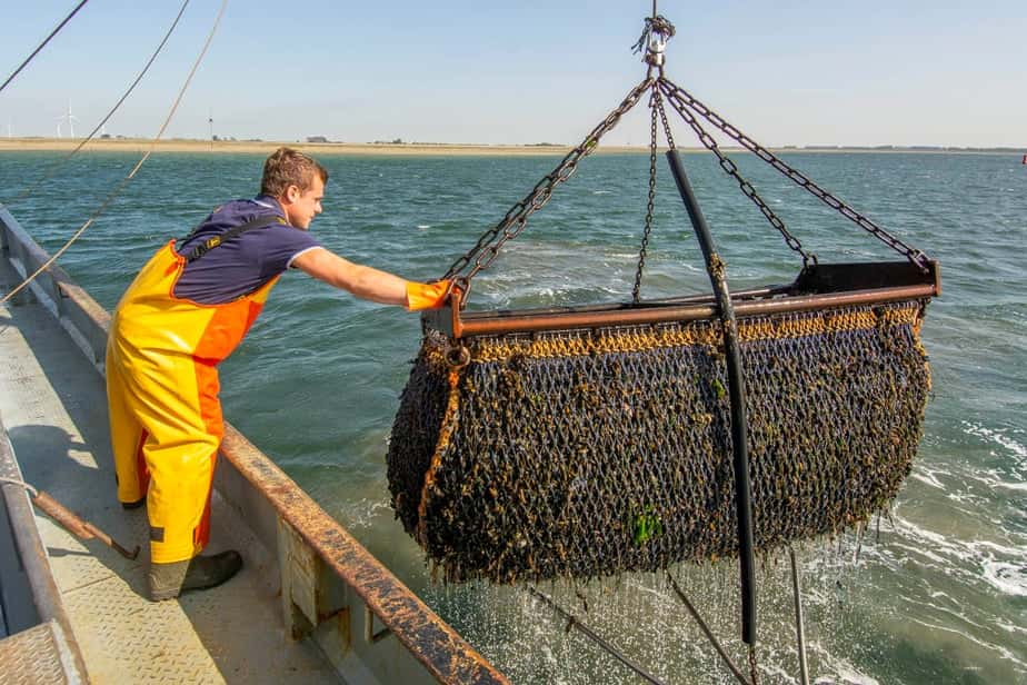 Bruinisse in Zeeland: De 10 Bezienswaardigheden - Droomplekken.nl