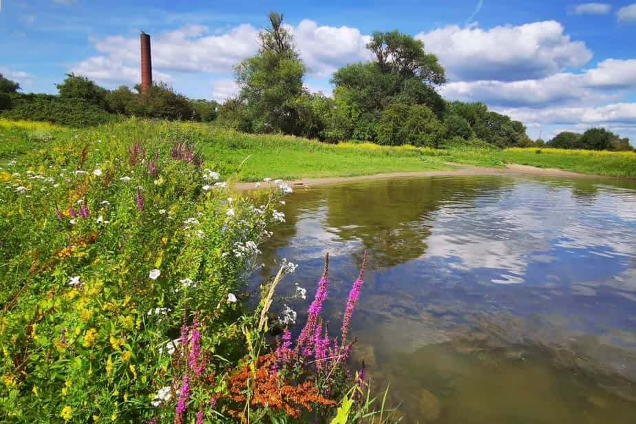 Blauwe Kamer bij Rhenen: 5 Mooiste Bezienswaardigheden om te wandelen
