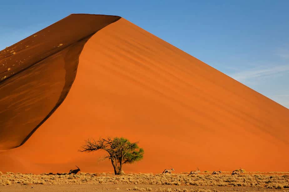 Duin 45 beklimmen in Namibië: Tips voor de excursie - Droomplekken.nl
