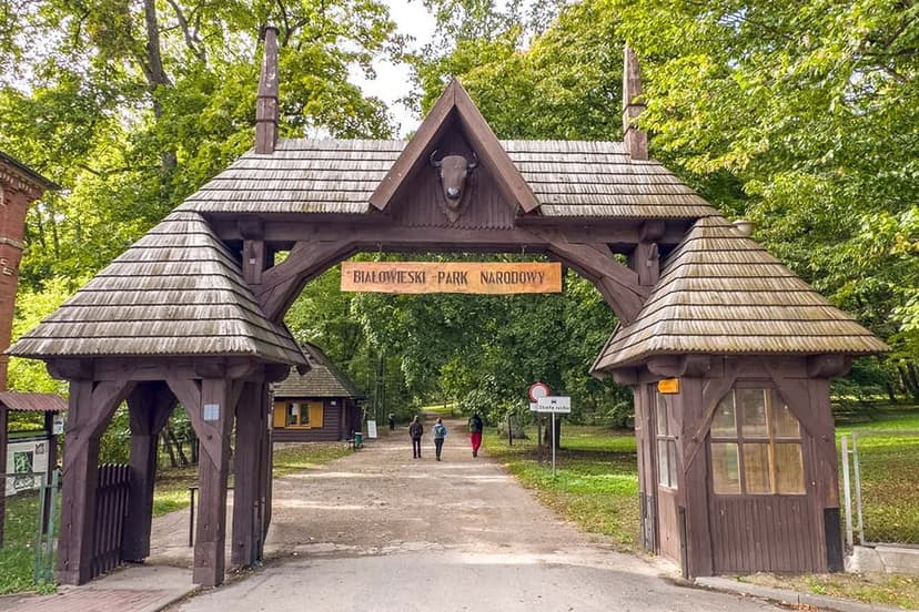 Białowieża National Park bezoeken: Tips voor het oerbos van Europa
