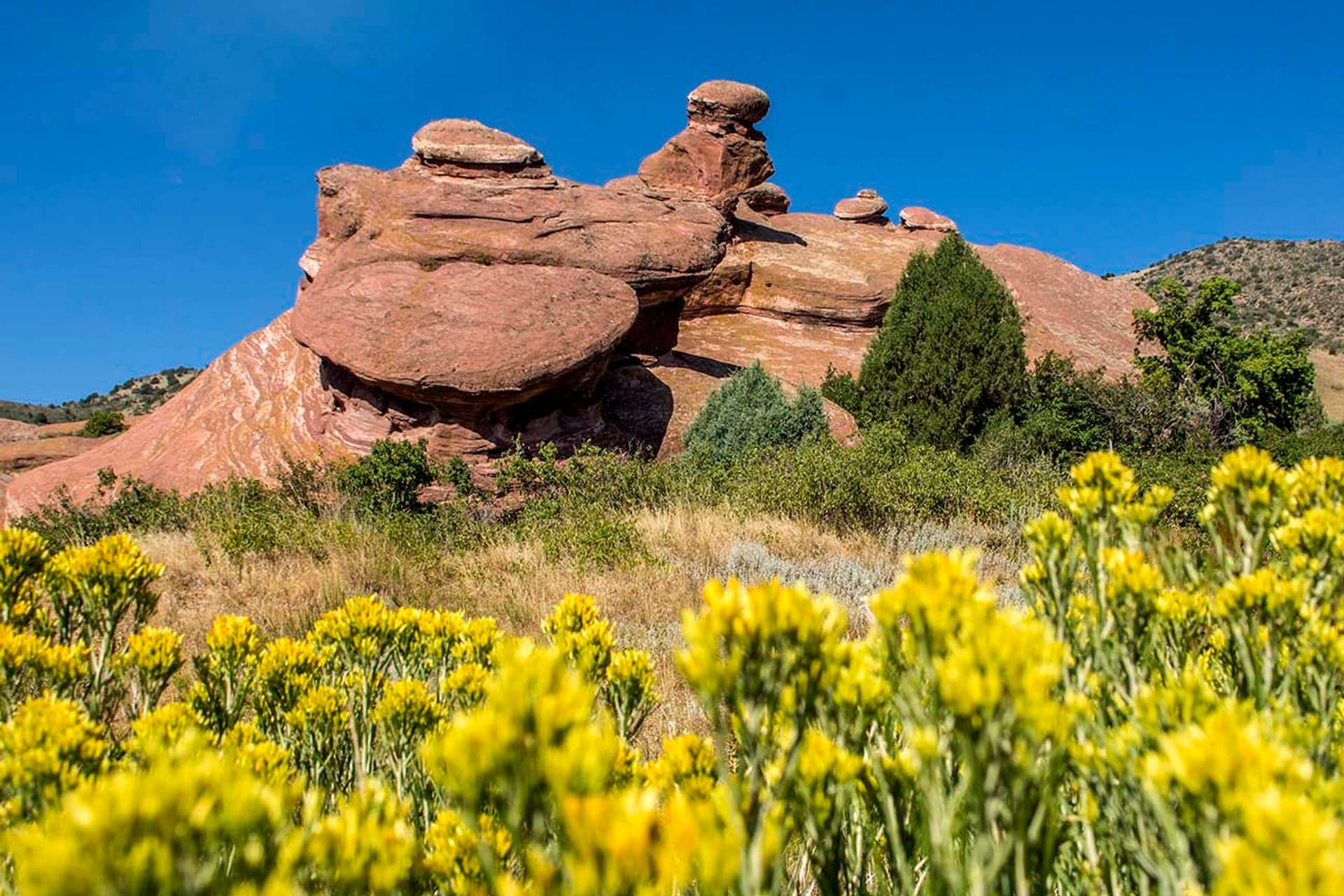 De bezienswaardigheden van Denver en de Rocky Mountains