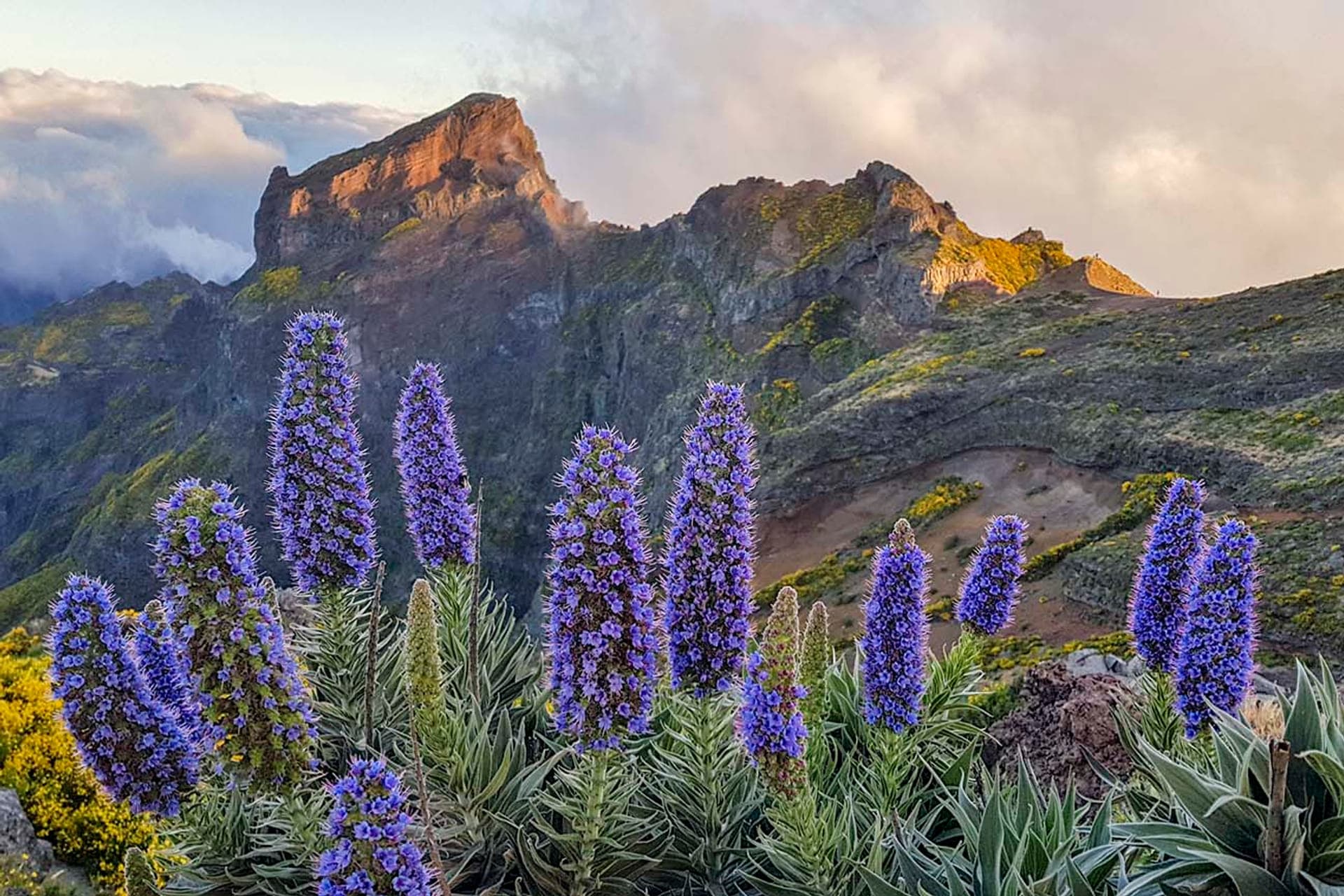 10 tips om te wandelen op Madeira