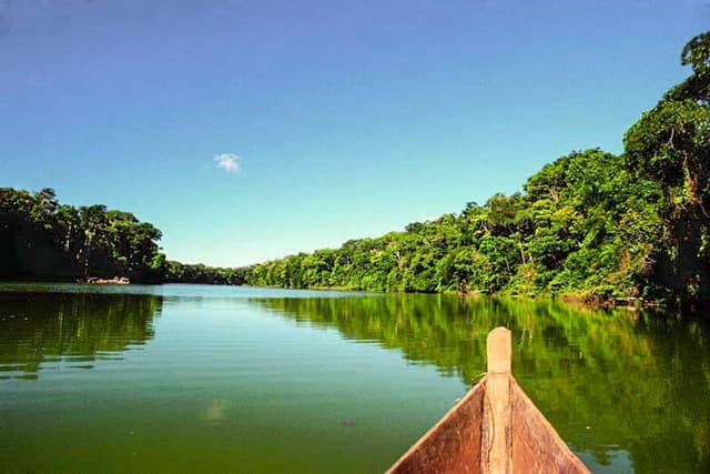 Manu National Park: 25 Bezienswaardigheden, Excursies & Dieren