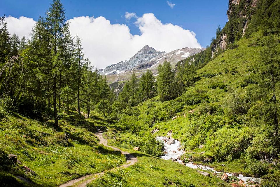 Hohe Tauern Panorama Trail: De Mooiste Routes
