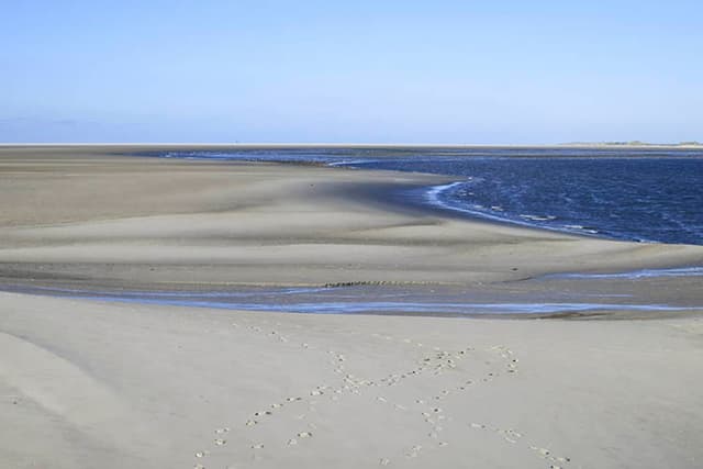Vlieland: De 20 Mooiste Bezienswaardigheden en leukste excursies