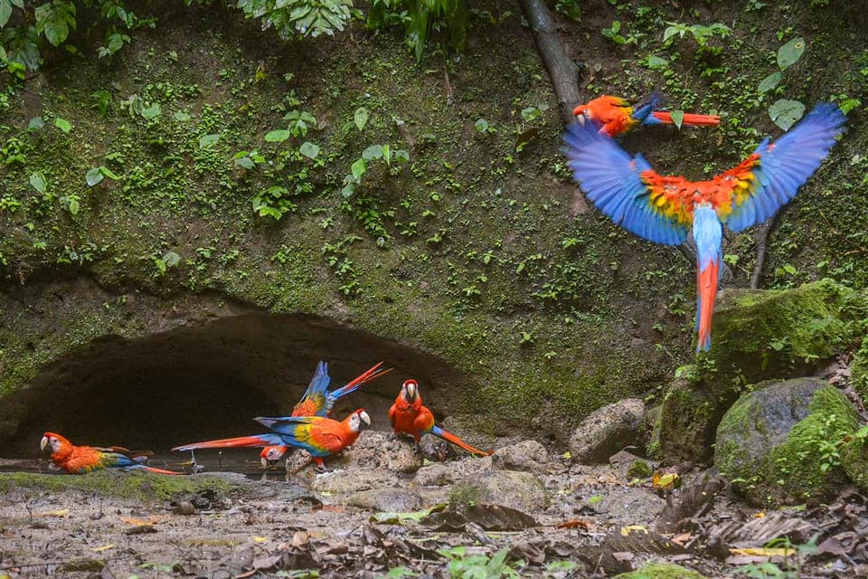 Yasuni National Park in Ecuador: 5 Tips - Droomplekken.nl
