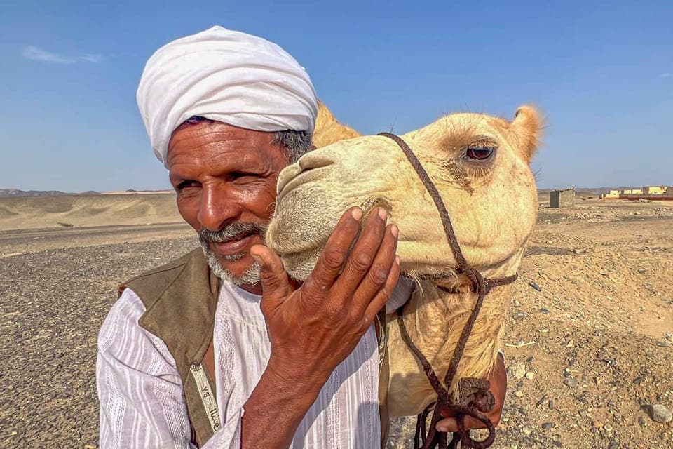 Wadi el Gemal National Park in Egypte: 5 Bezienswaardigheden