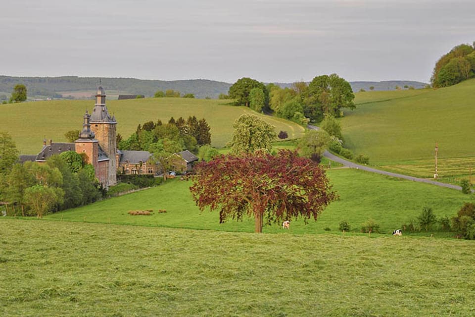 Dutch Mountain Trail: Wandeling langs de Seven Summits van Nederland