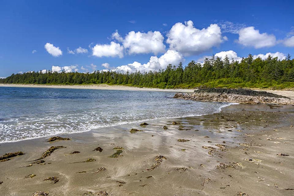 Pacific Rim National Park Reserve: Wandelen met Walvissen - Droomplekken.nl