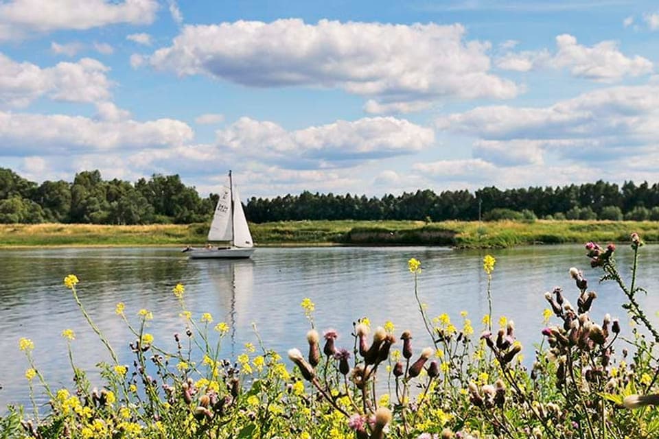 Blauwe Kamer bij Rhenen: 5 Mooiste Bezienswaardigheden om te wandelen