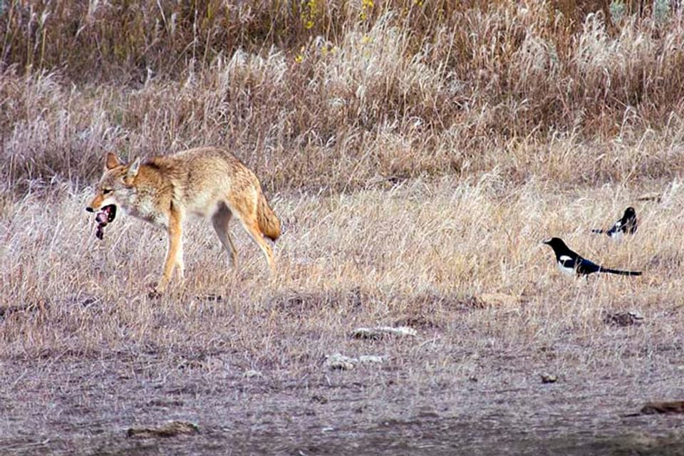 Badlands National Park: De 10 Bezienswaardigheden in Amerika ...