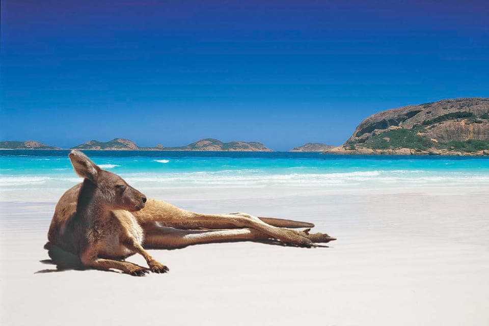 Oceanië: De 50 Mooiste Bezienswaardigheden - Droomplekken.nl