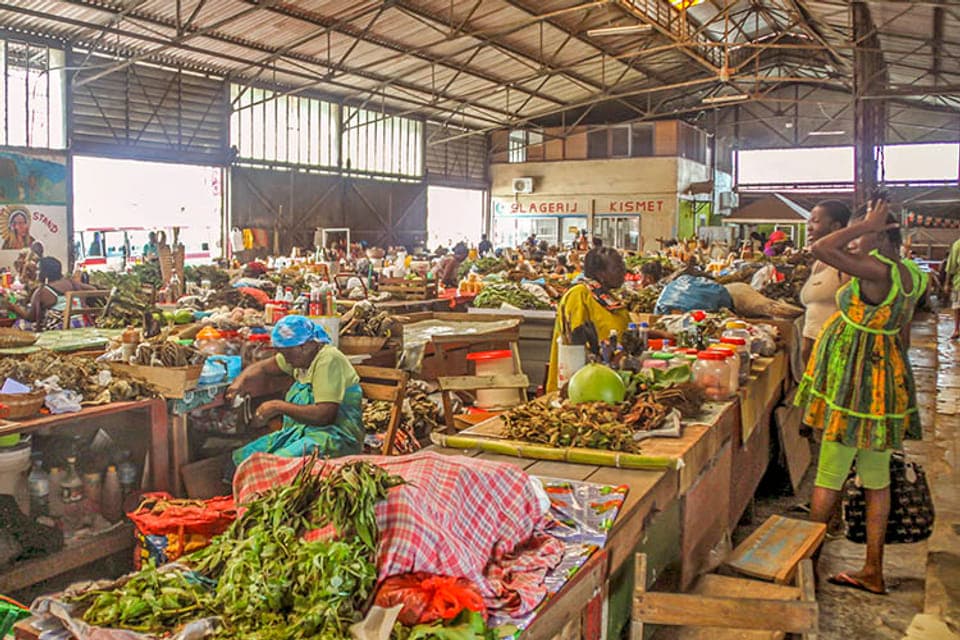 Paramaribo: De 10 Mooiste bezienswaardigheden - Droomplekken.nl