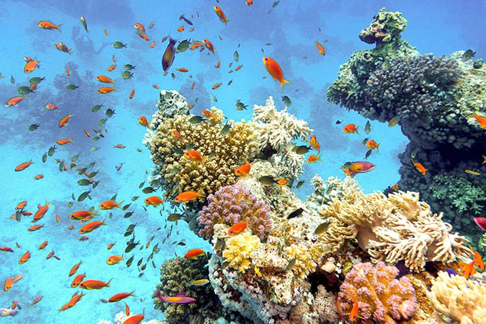 Rode Zee: 15 Mooiste Bezienswaardigheden - Droomplekken.nl