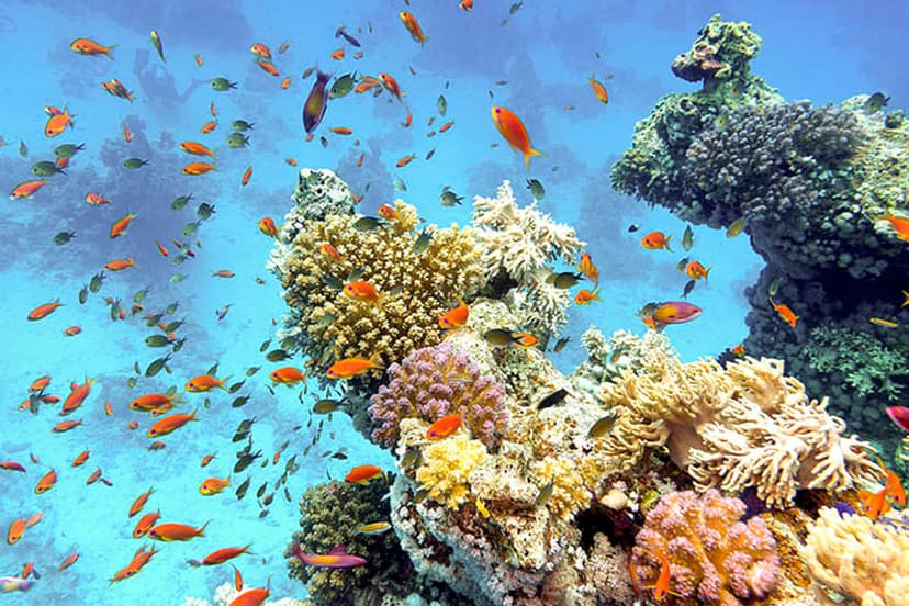 Rode Zee: 15 Mooiste Bezienswaardigheden - Droomplekken.nl