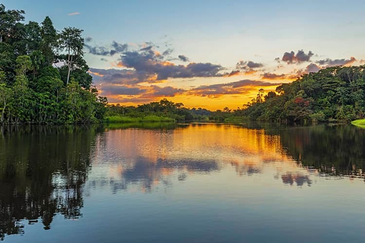 Centraal Suriname Natuurreservaat: Tips voor je bezoek - Droomplekken.nl