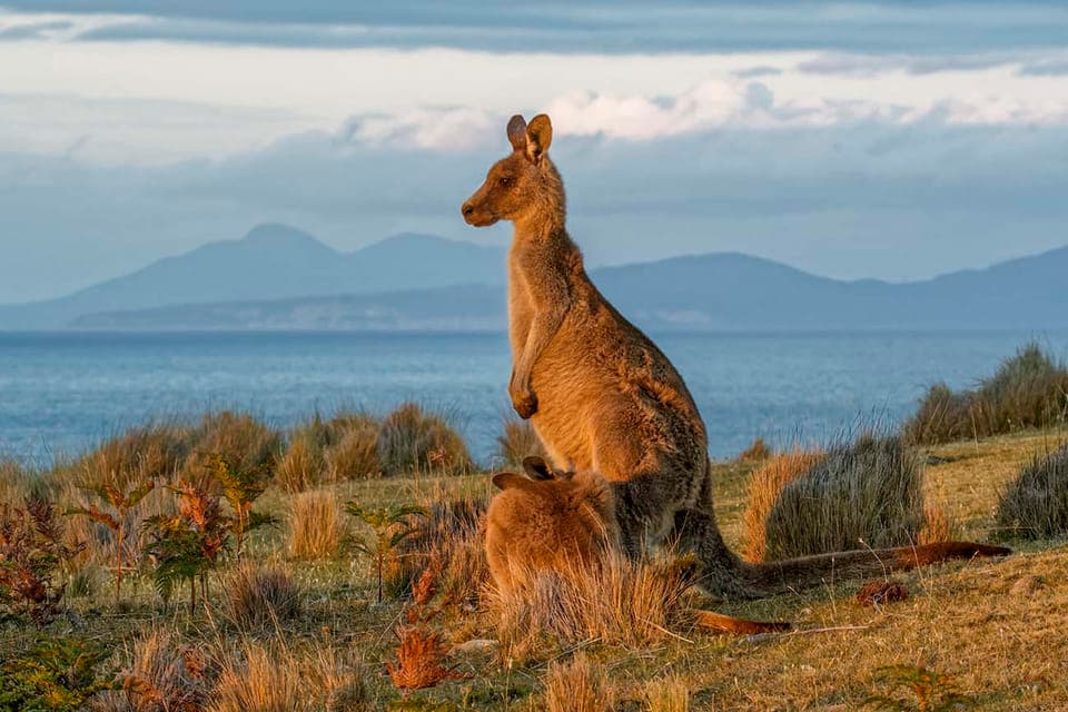 Oceanië: De 50 Mooiste Bezienswaardigheden - Droomplekken.nl