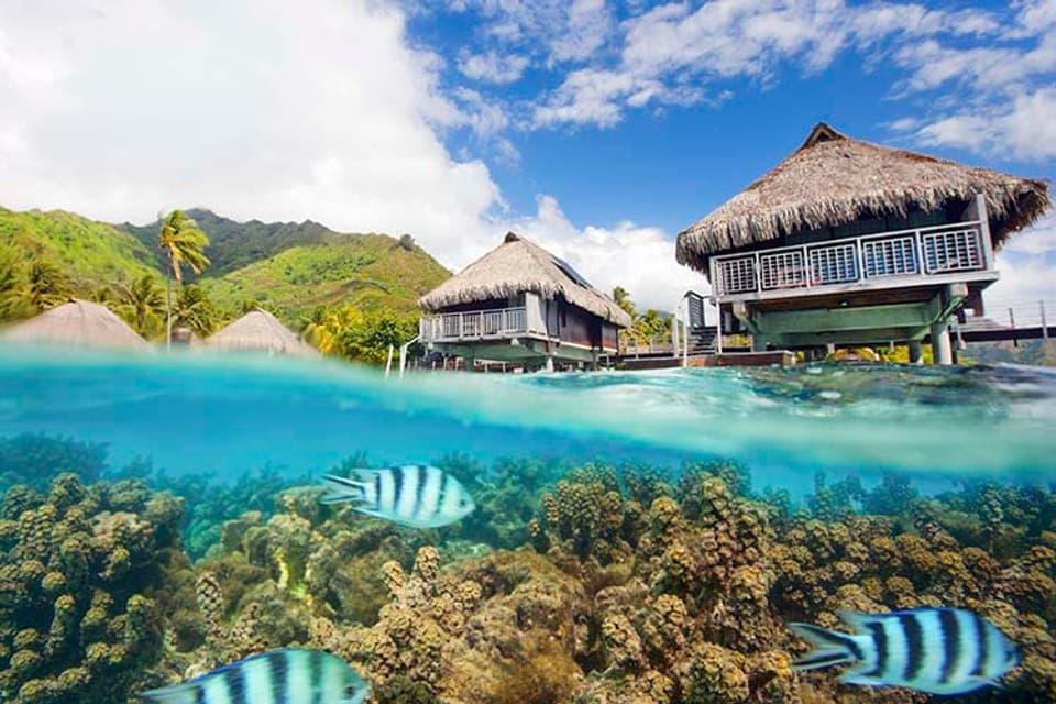Oceanië: De 50 Mooiste Bezienswaardigheden - Droomplekken.nl