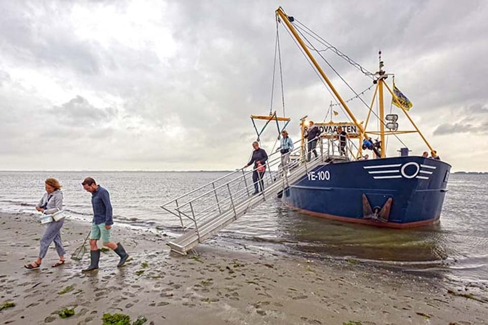 Oosterschelde Nationaal Park: De 10 Mooiste Bezienswaardigheden