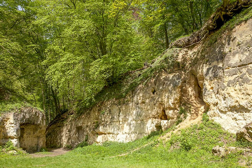 Dutch Mountain Trail: Wandeling langs de Seven Summits van Nederland