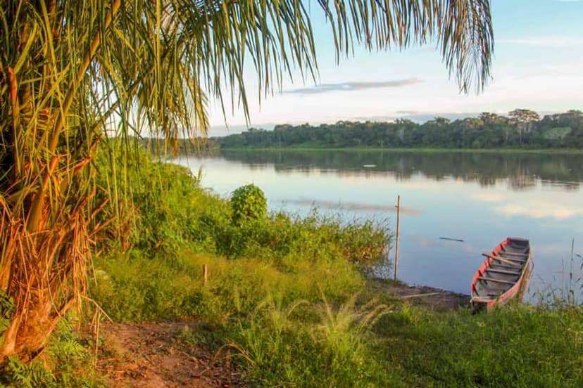Madidi Natioaal Park in Bolivia: Alle tips en bezienswaardigheden ...